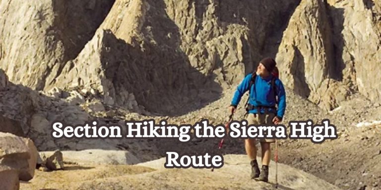 Section Hiking the Sierra High Route: Tips & Gear Essentials