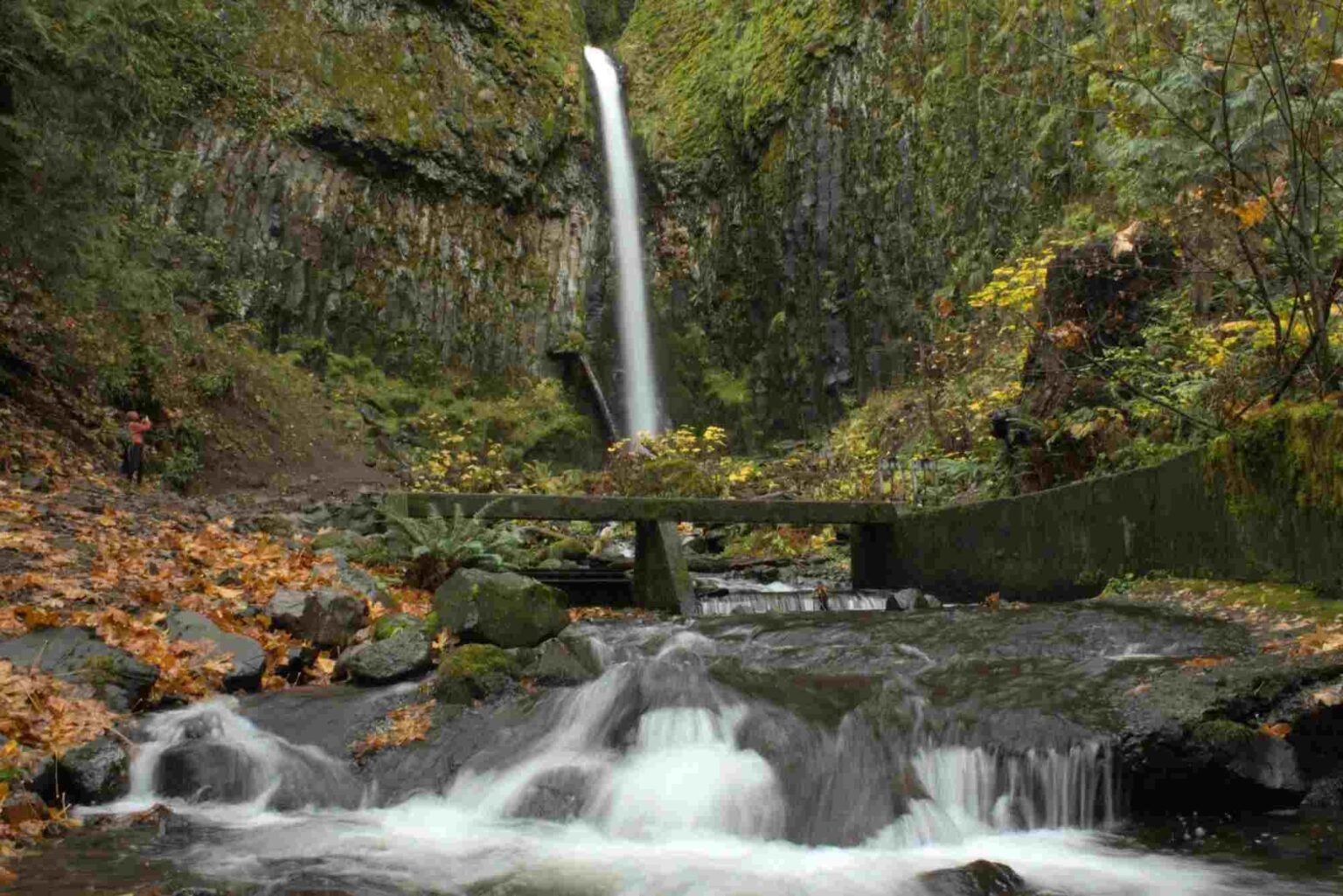 Hiking Near Portland: Trail Guide & Tips