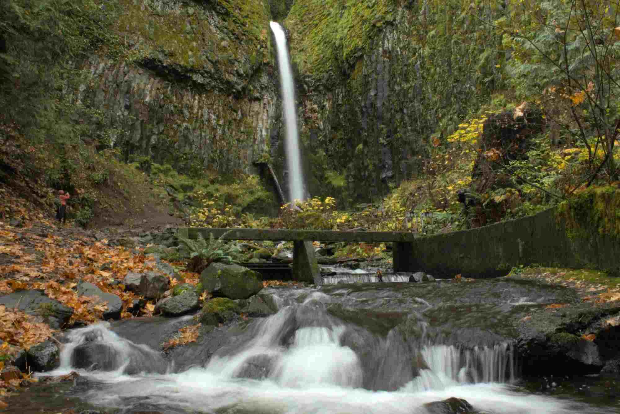 Hiking Near Portland: Trail Guide & Tips